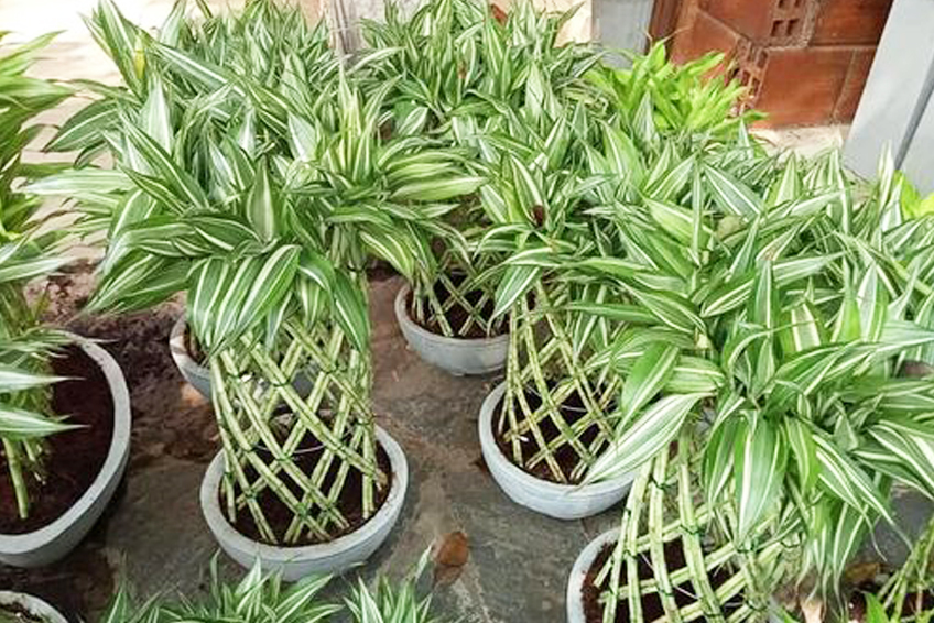 Kadawatha Garden Services and Interlock pavers -kadawatha Interlock ...